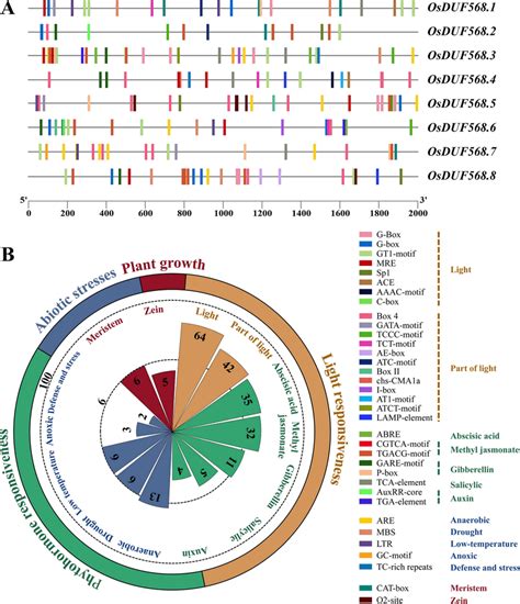 Identification Of Cis Acting Elements In Osduf568 Genes A Distribution Download Scientific