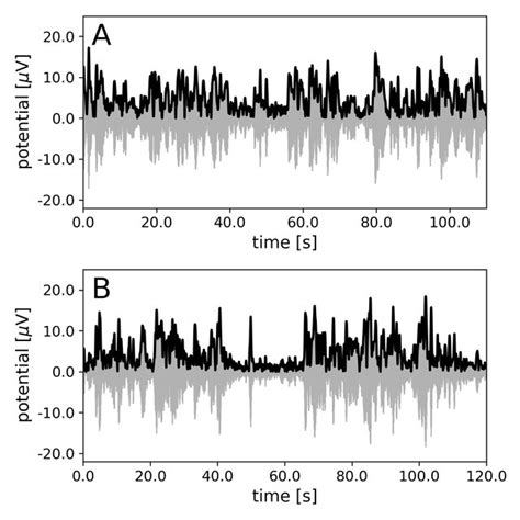 Sample Paths Of The Fractional Gaussian Noise Process A Sample Path