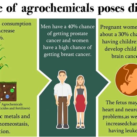 Agrochemicals And Their Impacts From The Point Of View Of The Concept Download Scientific