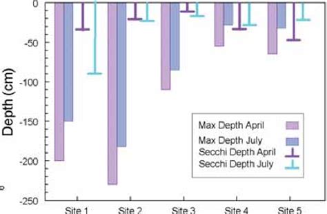 Water Transparency Using Measures Of Maximum Depth And Secchi Depth In Download Scientific