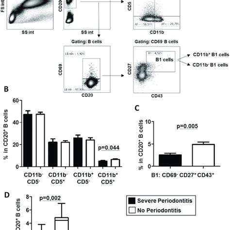 Expression Of B Cell Activation Markers In The B Cell Subsets From