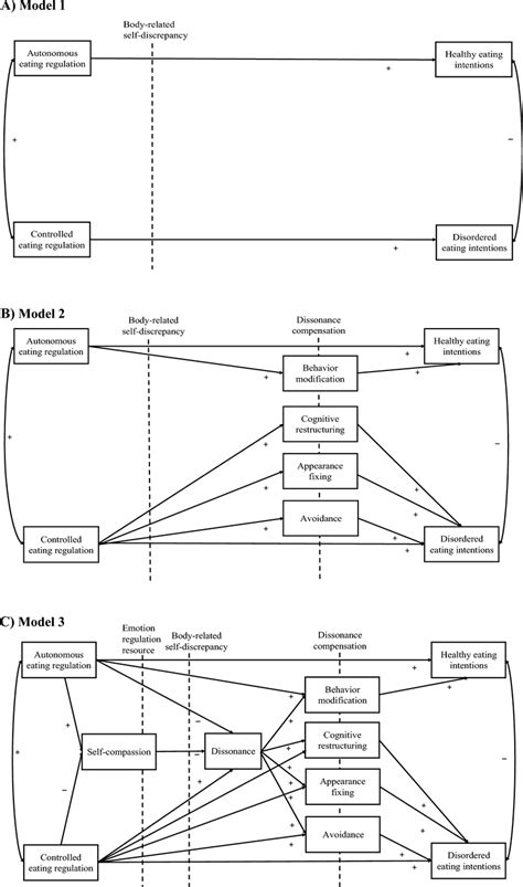 conceptual hypothesized models using a phased model building approach