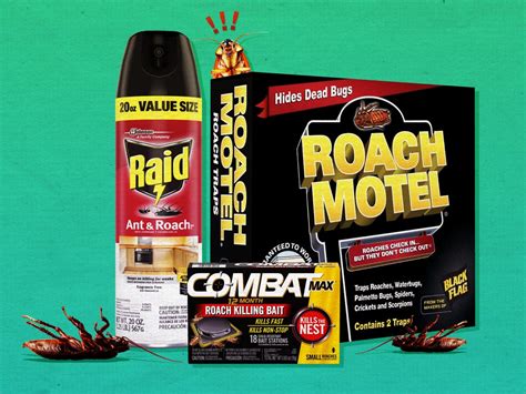 Can Roach Spray Kill Dogs