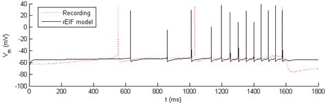 15 The Refractory Exponential Integrate And Fire Model Compared To