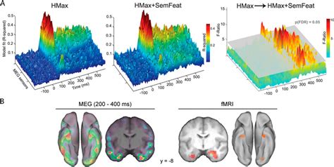 The Temporal And Spatial Distribution Of Object Specific Semantic