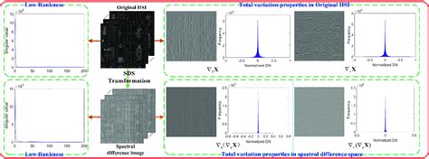Comparison Of Low Rankness And Total Variation Properties In The Download Scientific Diagram