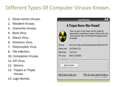 Types of computer viruses 89 фото