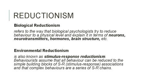 Issues And Debates Holism Vs Reductionism Describe What Issues And Debates Holism Vs Reductionism Describe What