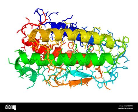 Thrombopoietin Hormone Molecule Computer Model Showing The Secondary Structure Of A Molecule Of