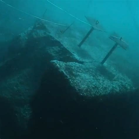 Why Cardox Cardox International Limited