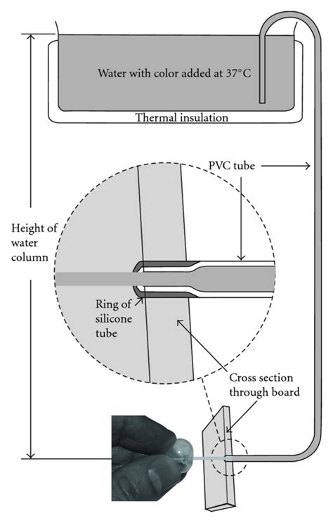 Experimental Setup The Pvc Tube Can Be Opened And Closed Using A Clamp