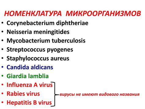What Antibiotics Cover Corynebacterium