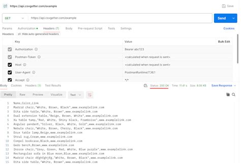 Authorization Bearer Token Example