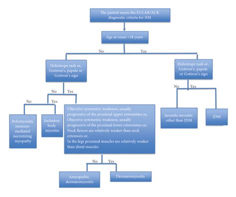 Classification Tree For Subgroups Of Iim [9] Download Scientific Diagram