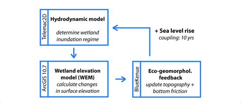 Schematic Illustration Of The Coupled Hydrodynamic Wetland Modelling