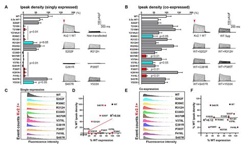 High Throughput Functional Screening Of K V 21 Variants A B