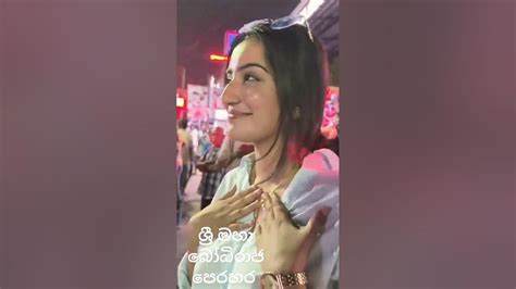 පාට කුරැල්ලෝ පාට කුරුල්ලෝ Telidrama Shortvideo Viralvideo Youtube