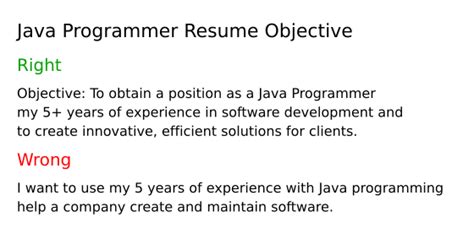 Top 17 Java Programmer Resume Objective Examples Resumecat