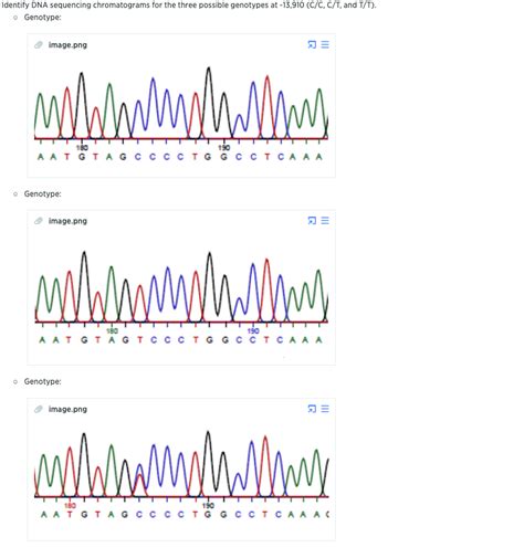 Solved Identify Dna Sequencing Chromatograms For The Three