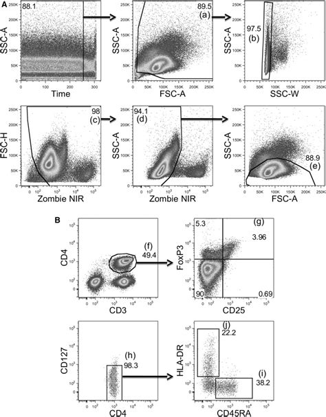 T Regulatory Cells Exhibit A Biphasic Response To Prolonged Endurance