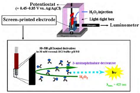 Schematic Representation Of The Measurement Device For Ecl Detection Download Scientific