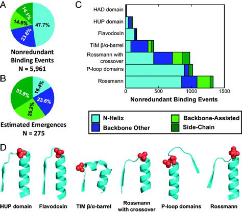 N Helix Binding Mode Dominates The Pdb But Not Evolutionary Emergences