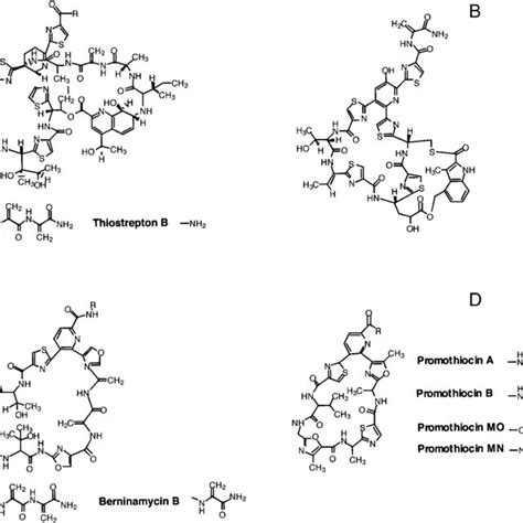Chemical Structures Of Thiopeptide Inducers Of Ptipa Inducers Of Ptipa Download Scientific