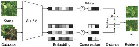 논문 리뷰 Multi Spectral Remote Sensing Image Retrieval Using Geospatial Foundation Models