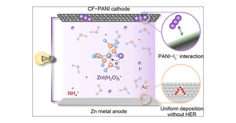Halogenated Zn2 Solvation Structure For Reversible Zn Metal Batteries Journal Of The American