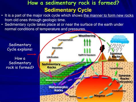 Solution 5 Sedimentary Cycle Studypool