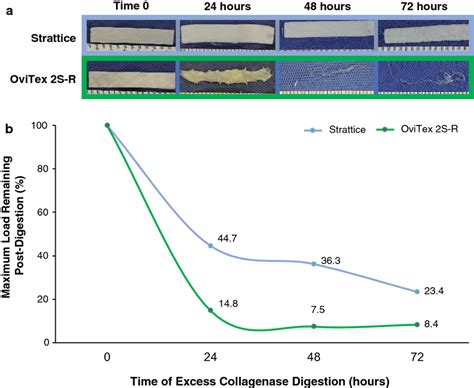 Strattice And Ovitex 2s Resorbable Ovitex 2s R Over The Time Course