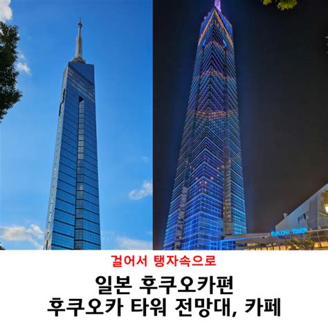 텐진역에서 모모치해변 후쿠오카 타워 입장권 야경 입장료 전망대 카페 네이버 블로그