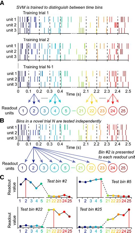 Figure 1 From Differential Encoding Of Time By Prefrontal And Striatal