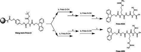 Scheme 1 Synthesis Of Fmoc Tripeptides Fmoc Rgd And Fmoc Grd Solid