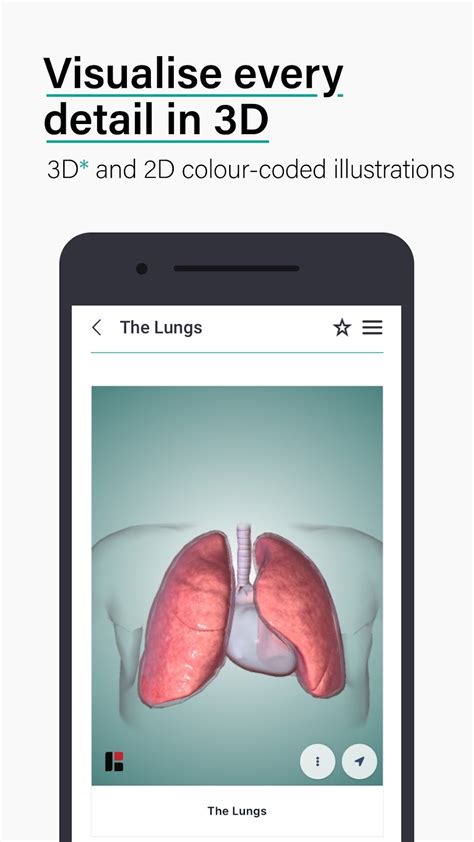 Teach Me Anatomy Apk For Android Download