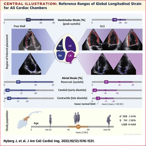 Echocardiographic Reference Ranges Of Global Longitudinal Strain For All Cardiac Chambers Using