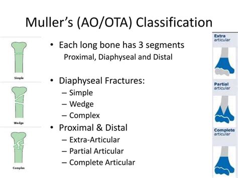 Classification Of Fractures And Compound Fracture Managment Pptx
