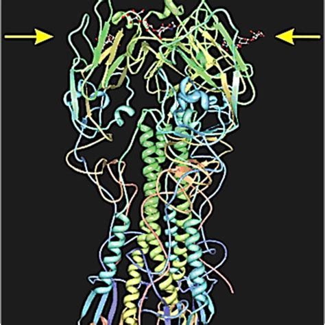 Rca Template And Hybridization Efficiency A Secondary Structure Of