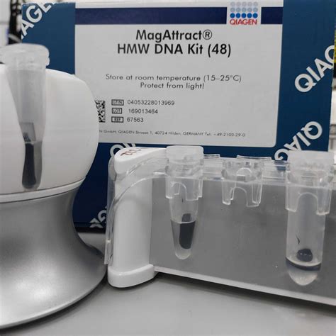 Manual Extraction Of High Molecular Weight Dna From Single Mosquitoes Using The Qiagen