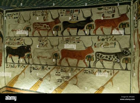 Inside Tomb Of Queen Nefertari Valley Of The Queens Near Luxor Egypt