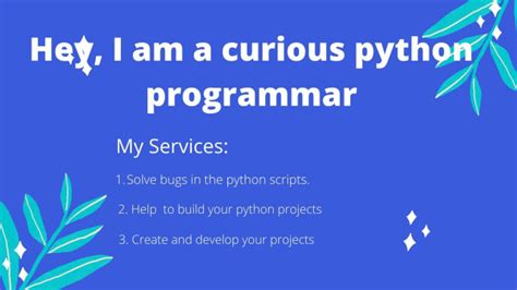 solve bugs in your python scripts by farhanafif997 fiverr
