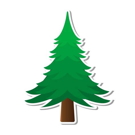 Premium Vector Pine Tree Design Vector Flat Isolated Illustration