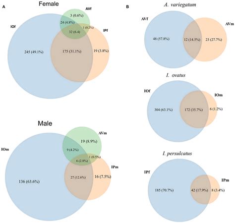 Frontiers Sex Specific Linkages Between Taxonomic And Functional