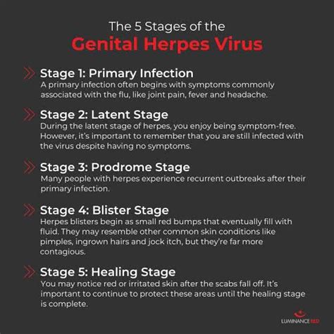 Stages Of Genital Herpes Virus Medizzy