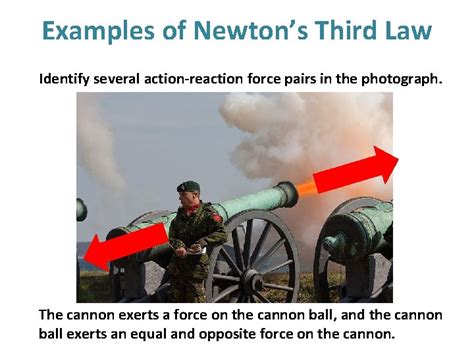 Forces And Newtons Third Law Newtons Third Law