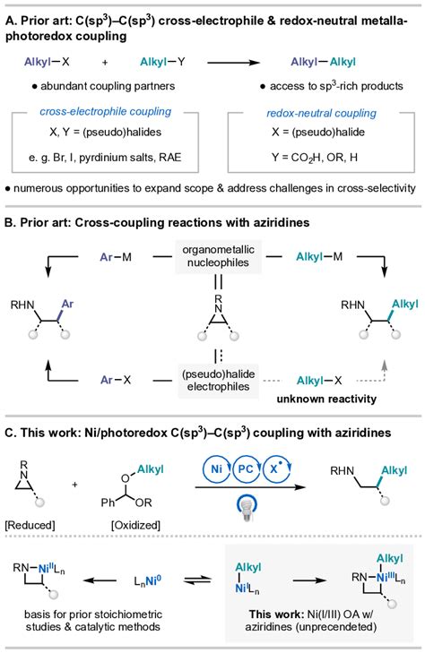 Cross Electrophile Coupling With Csp 3 Electrophiles Download