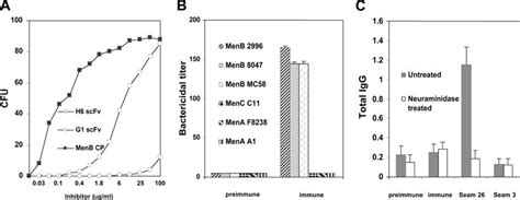 Immunization With The Scfv Gene Induces Capsule Specific Antibodies Download Scientific
