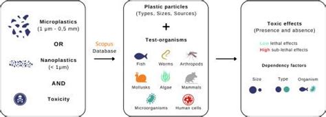 微塑料和纳米塑料的毒性：关于尺寸、类型、来源和测试有机体影响的综述 Science Of The Total Environment X Mol