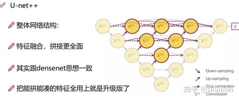 图像分割 UNet系列算法 知乎