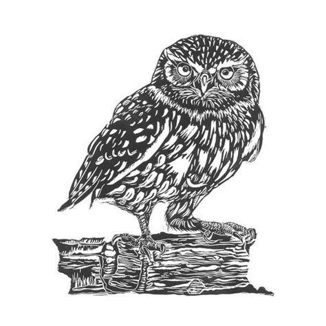Little Owl Linocut Original Print Etsy Linocut Linocut Prints